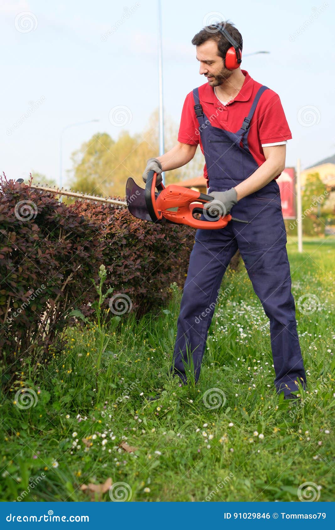 Professional Gardner Worker Using Lawn Mower For Cutting Grass In ...