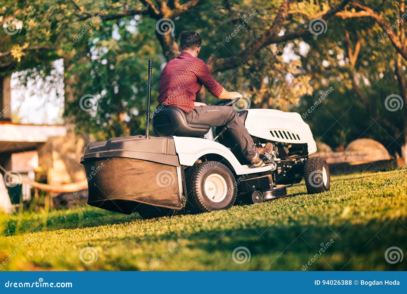 Professional Gardner Worker Using Lawn Mower for Cutting Grass in ...