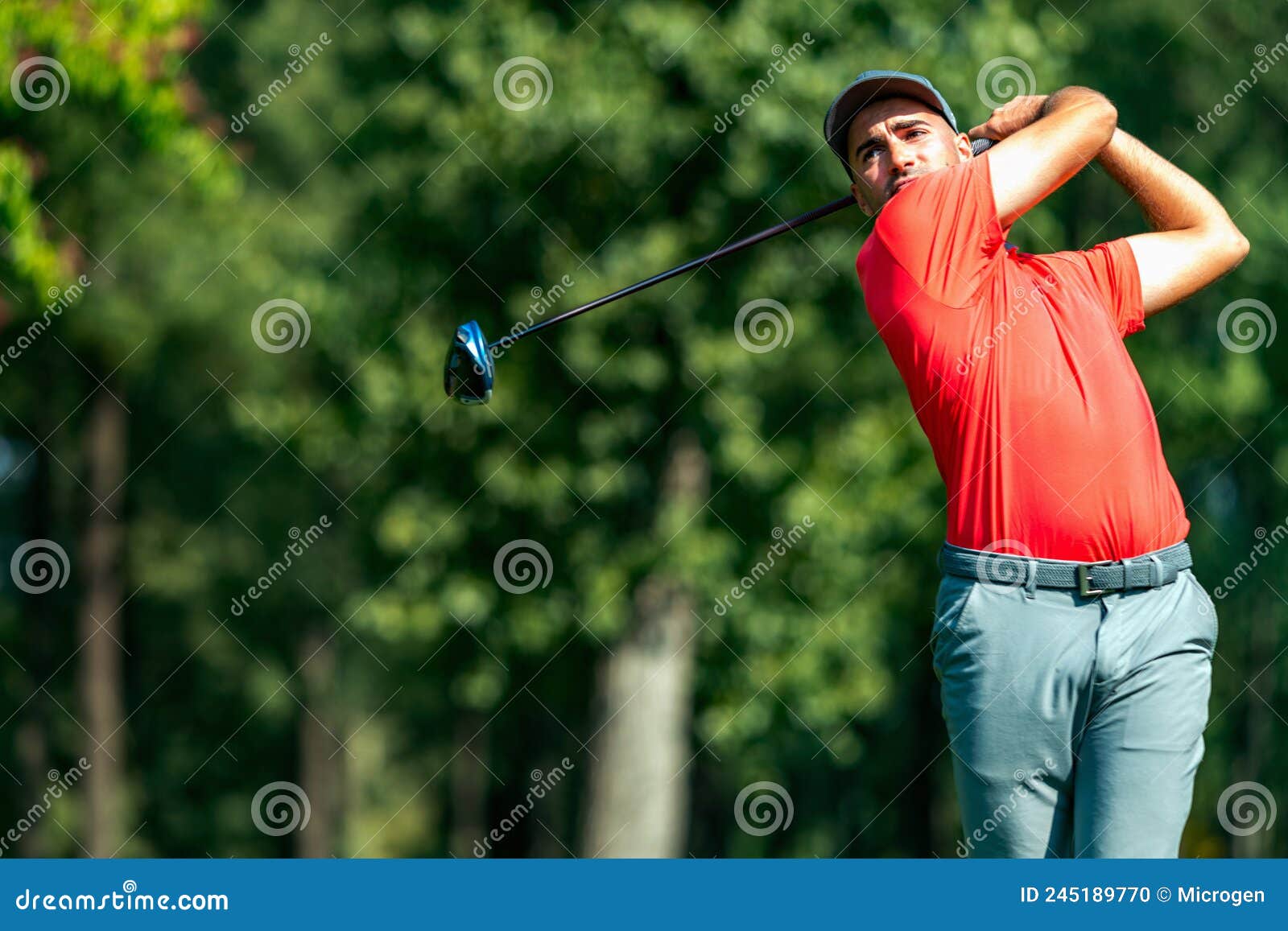 Professional Golfer in a Swing Using a Driver Golf Club Stock Photo ...