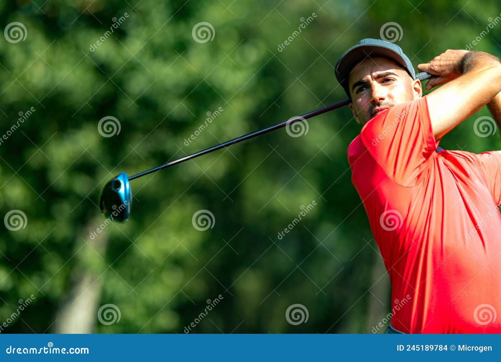 Professional Golfer in a Swing Using a Driver Golf Club Stock Photo ...