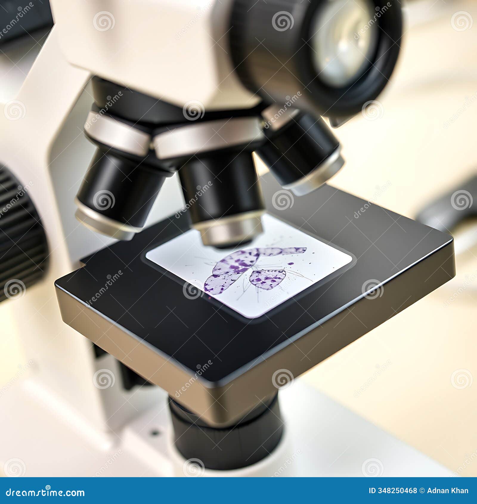 A Professional Grade Optical Microscope with a Sample Slide Under it ...