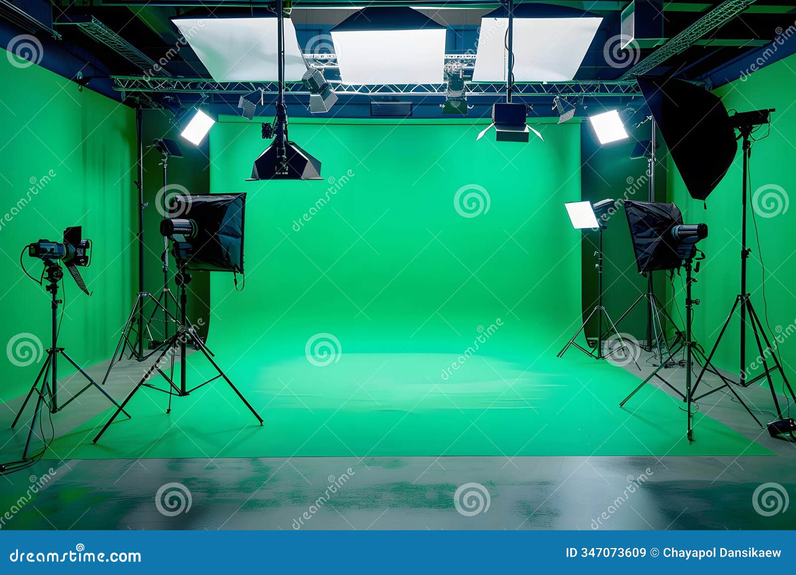 Professional Green Screen Studio Setup with Lighting Equipment for ...