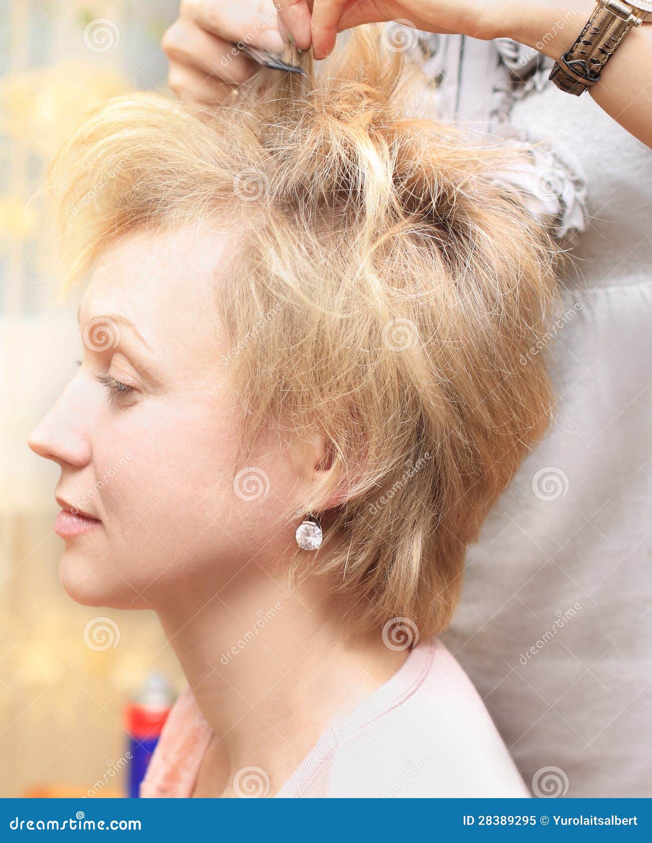 Professional hair styling. stock image. Image of brush - 28389295