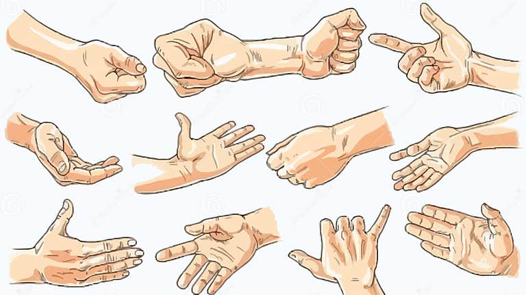 Professional Hand Gestures Set in Vector Illustration for Design ...
