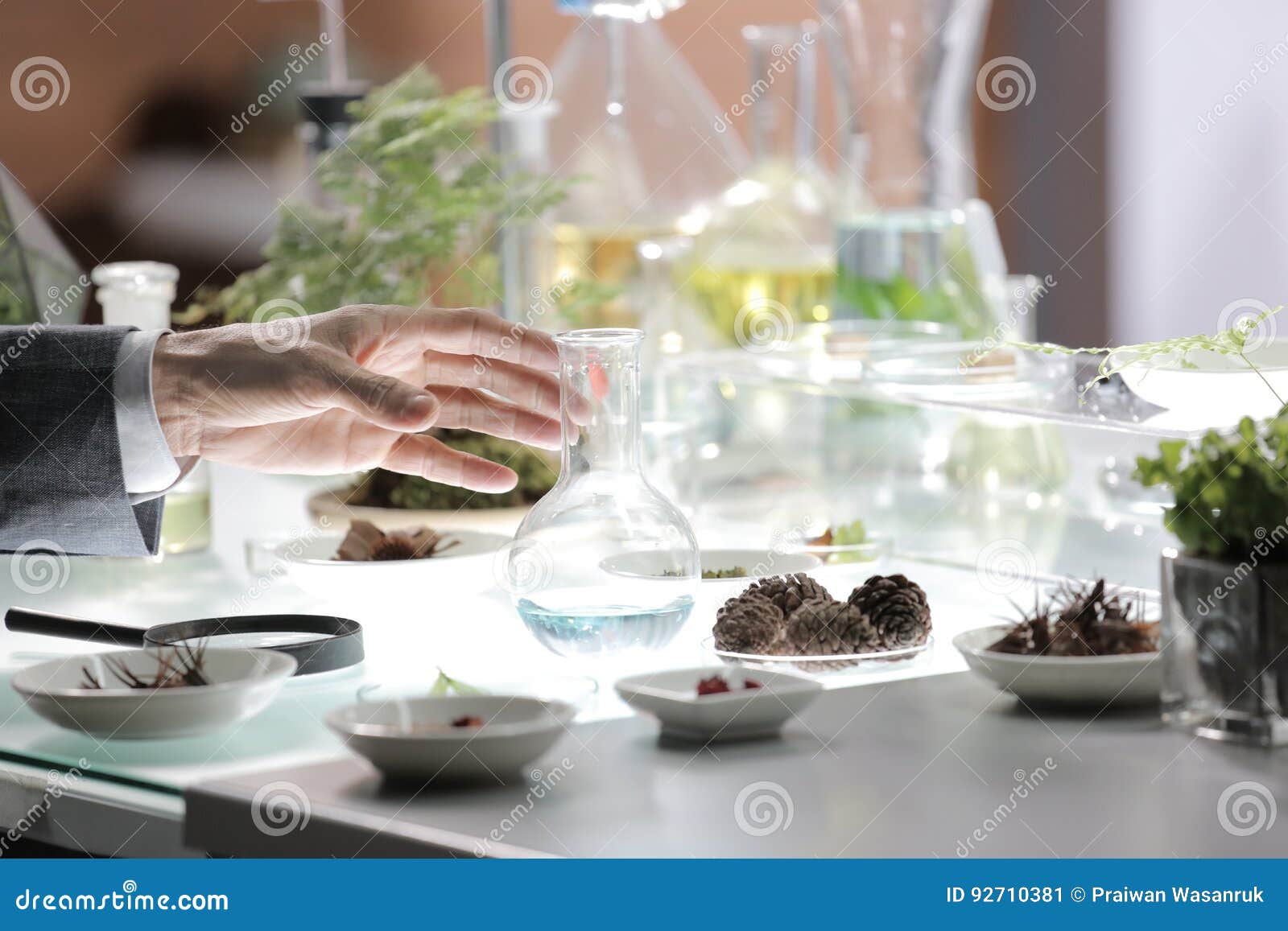 Professional hand stock image. Image of leaf, chemistry - 92710381