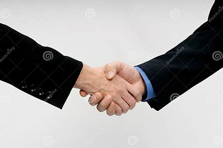 Professional Hand Shake stock image. Image of executive - 12630851