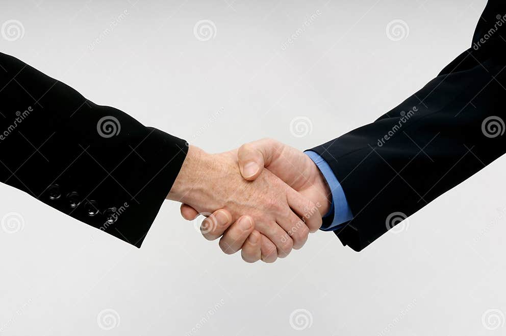 Professional Hand Shake stock image. Image of executive - 12630851