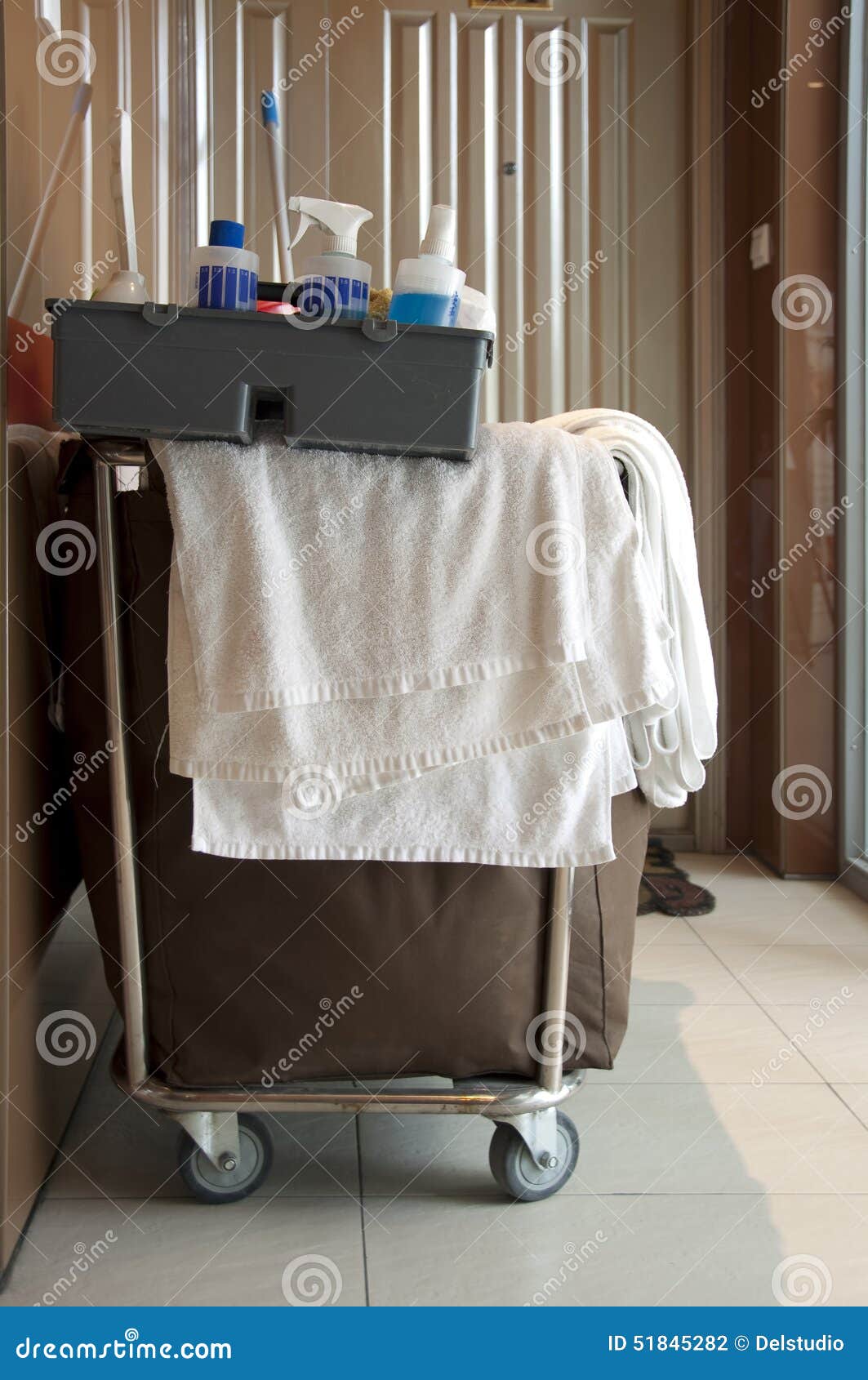 Professional House Cleaning Cart Stock Photo - Image of candid, washing ...