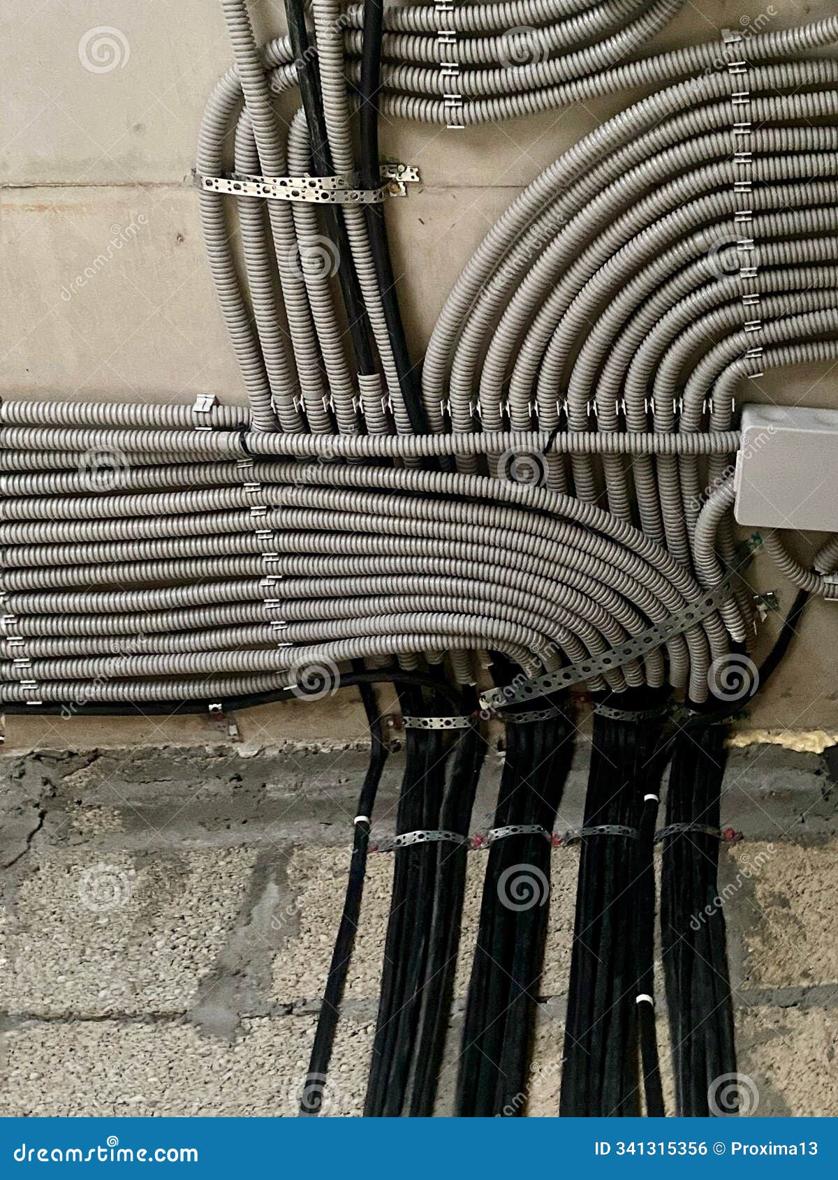 Professional Installation of Electrical Sockets, Wires and Switches ...