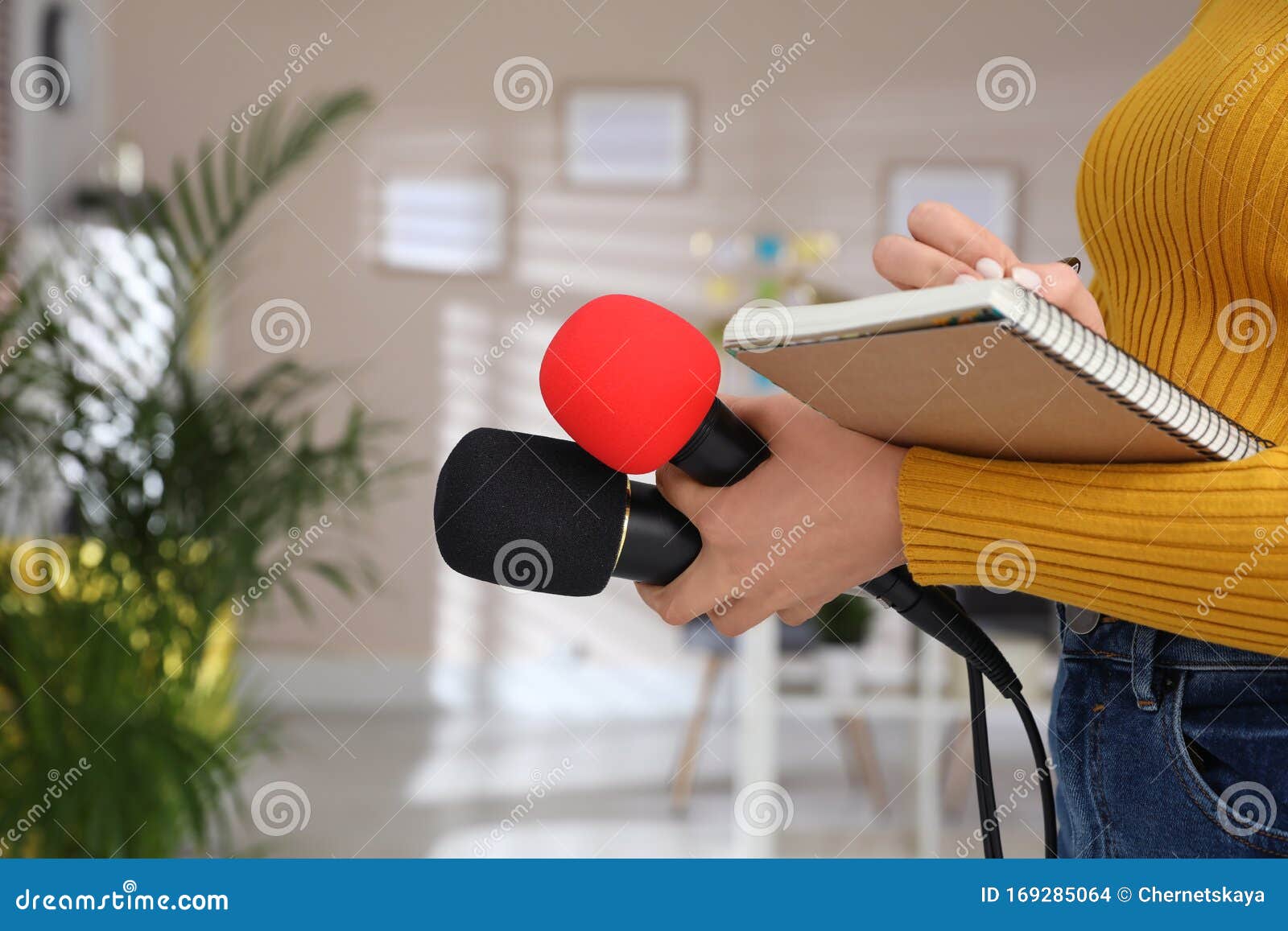 Professional Journalist with Microphones Taking Notes, Closeup Stock ...