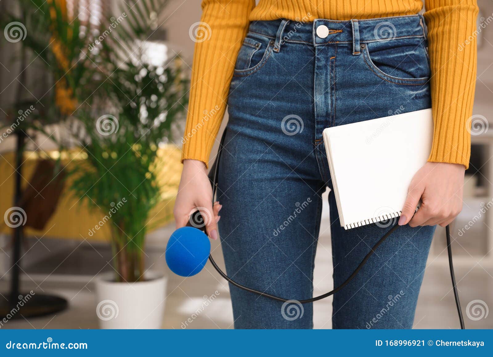 Professional Journalist with Modern Microphone and Notebook in Room ...