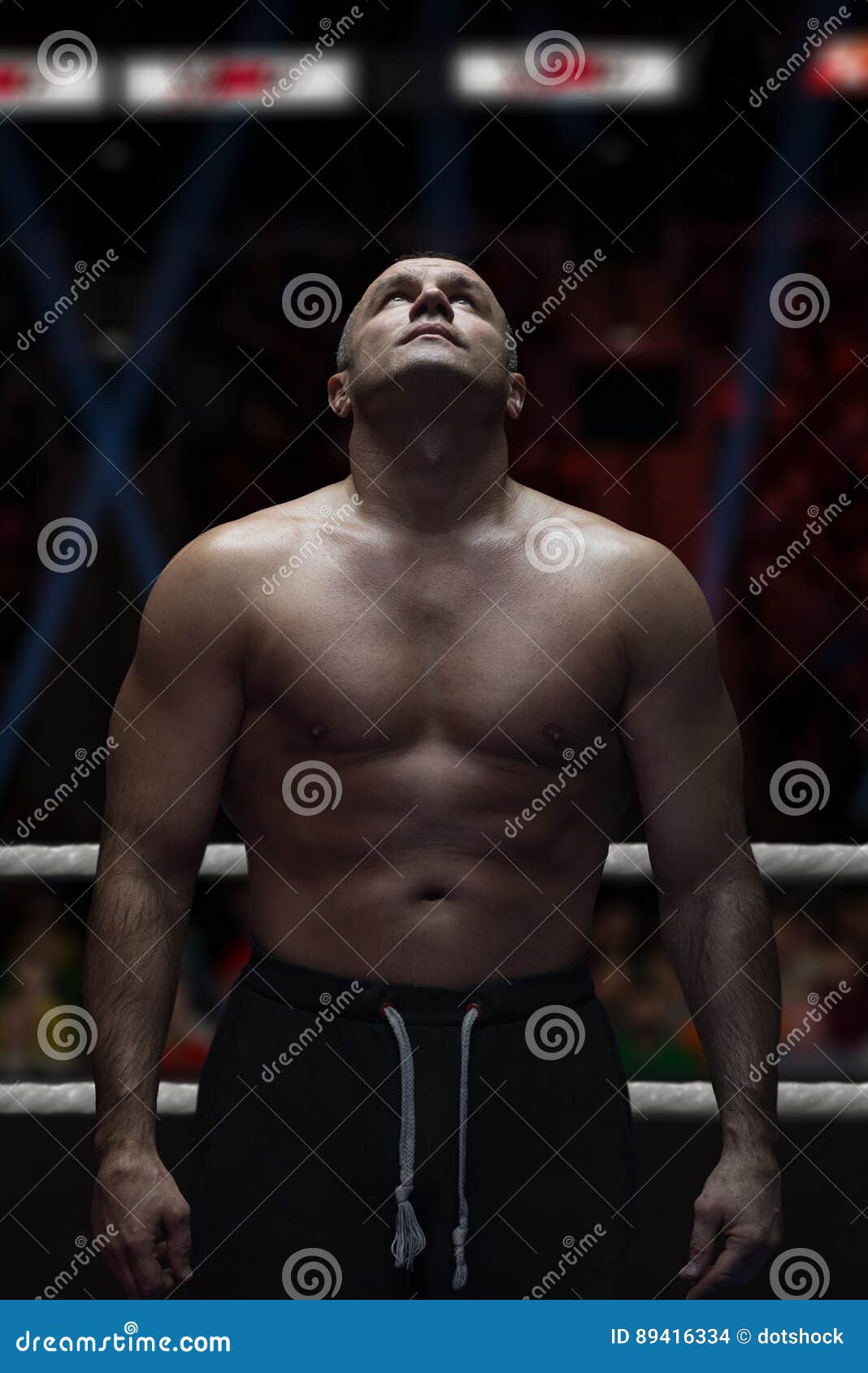 Professional Kickboxer in the Training Ring Stock Photo - Image of ...