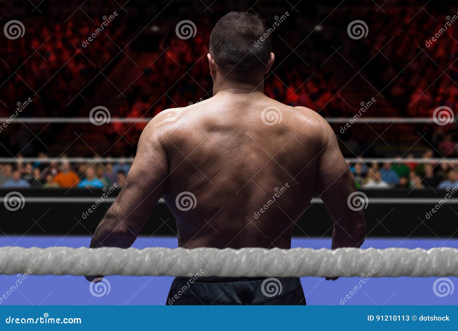 Professional Kickboxer in the Training Ring Stock Image - Image of ...
