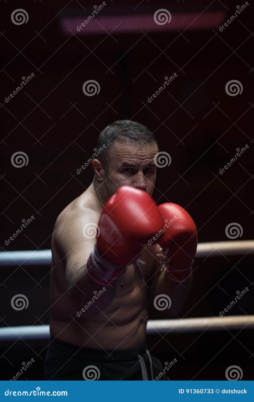 Professional Kickboxer in the Training Ring Stock Image - Image of ...
