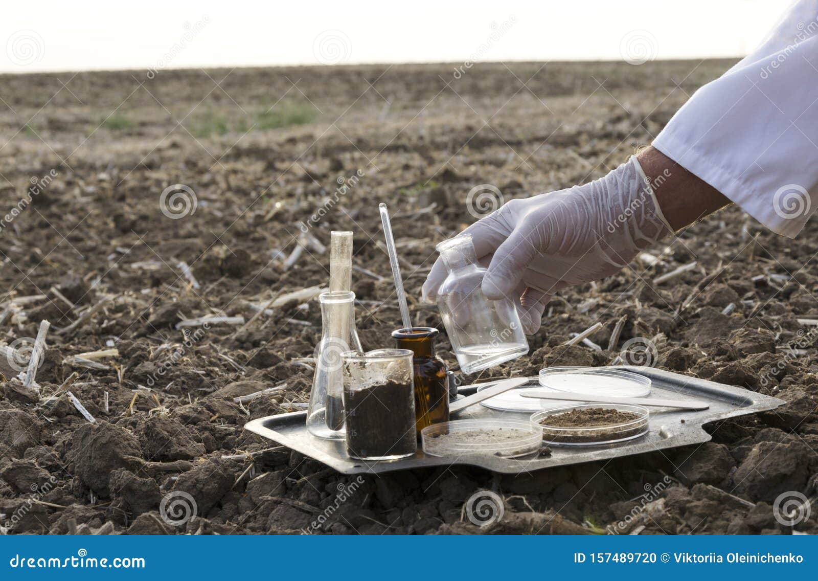 Professional Laboratory Worker Testing Soil in the Field Stock Photo ...