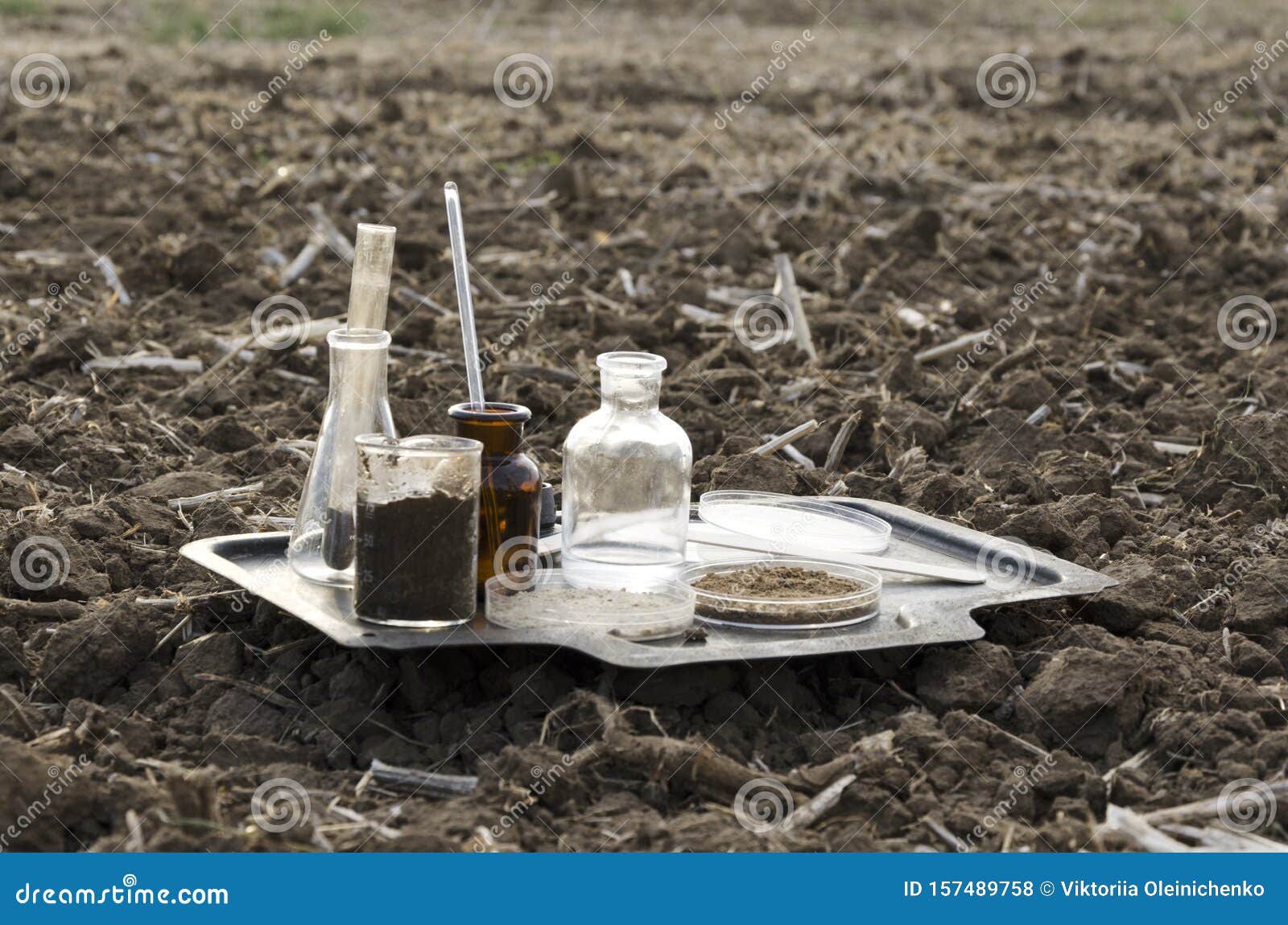Testing Soil Sample On Hand Which Wears A Glove With Soil Ground ...