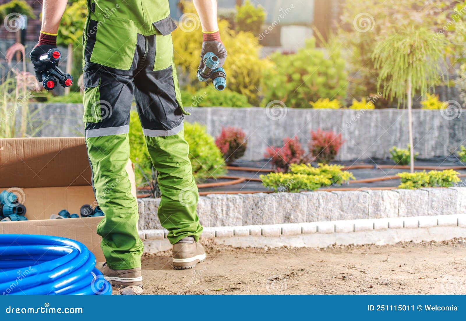 Landscaping Worker Building Trickle Irrigation System Royalty-Free ...