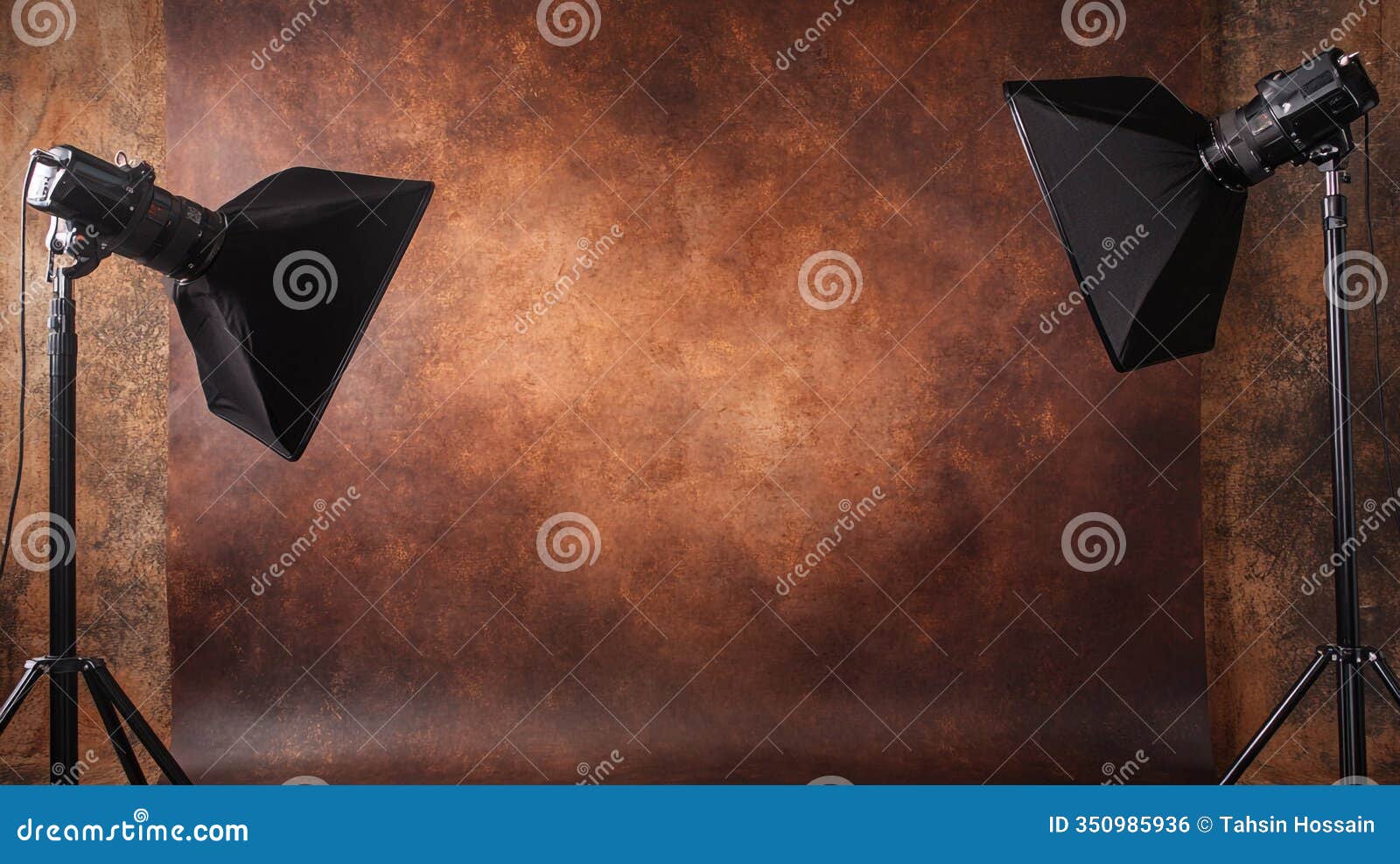 Professional Lighting Setup for Studio Photography with Softboxes and ...