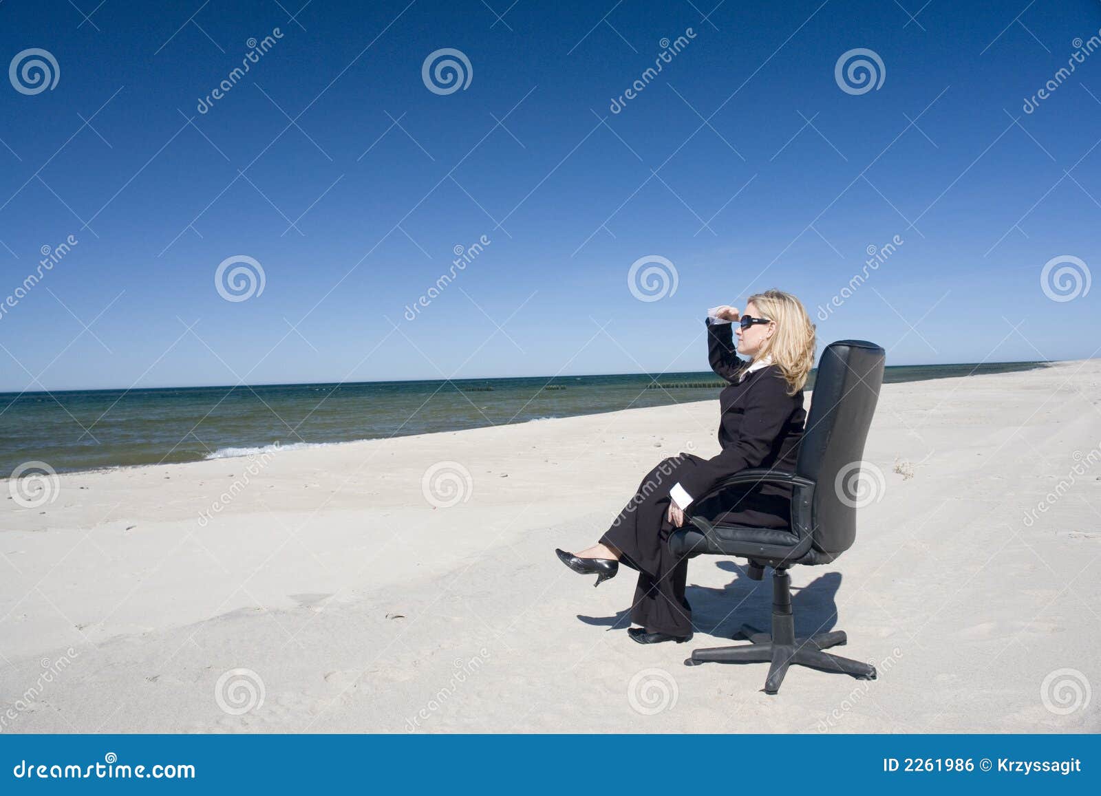 Professional on the Lookout Stock Photo - Image of female, office: 2261986