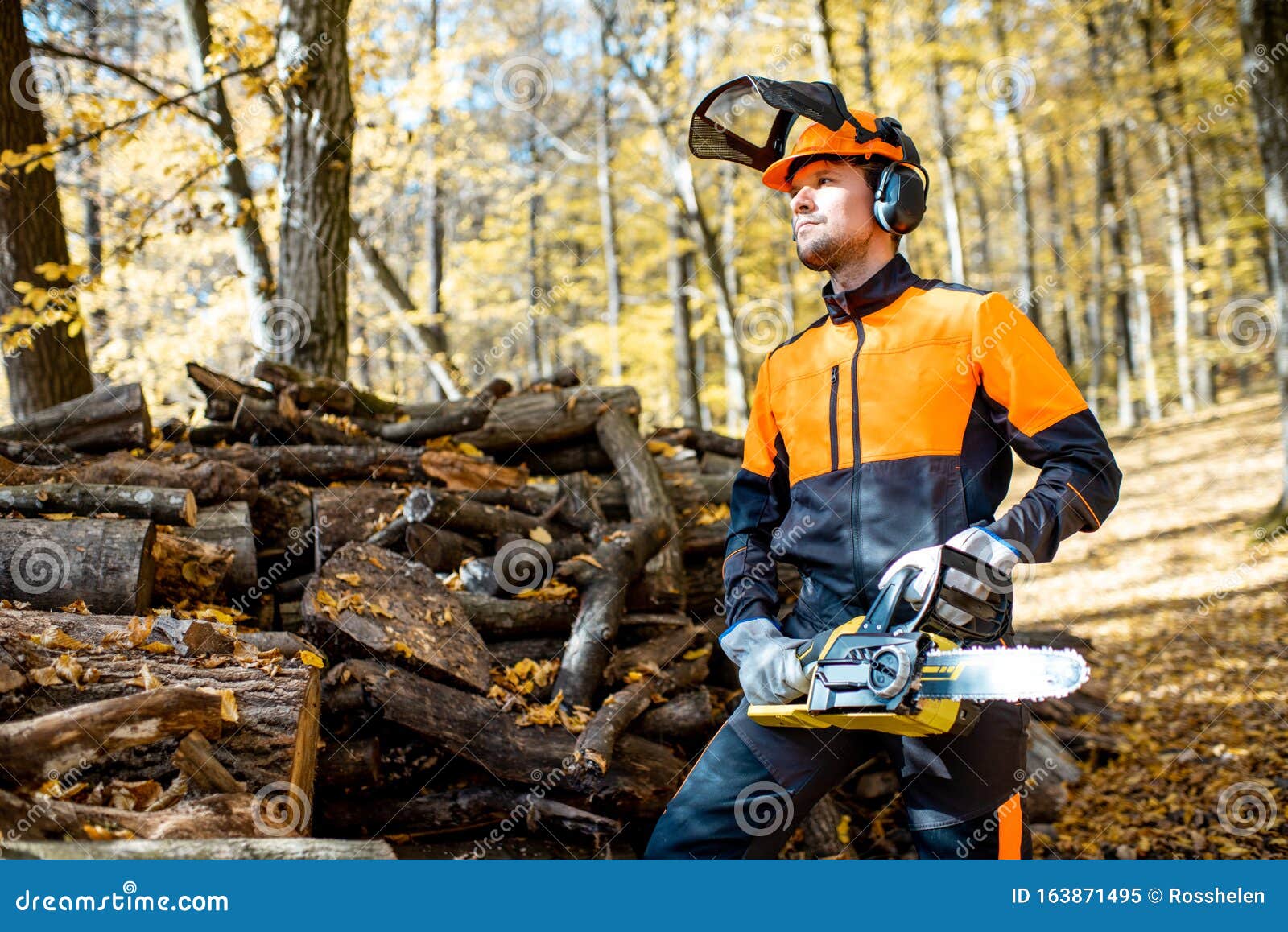 Professional Lumberjack in the Forest Stock Image - Image of ...