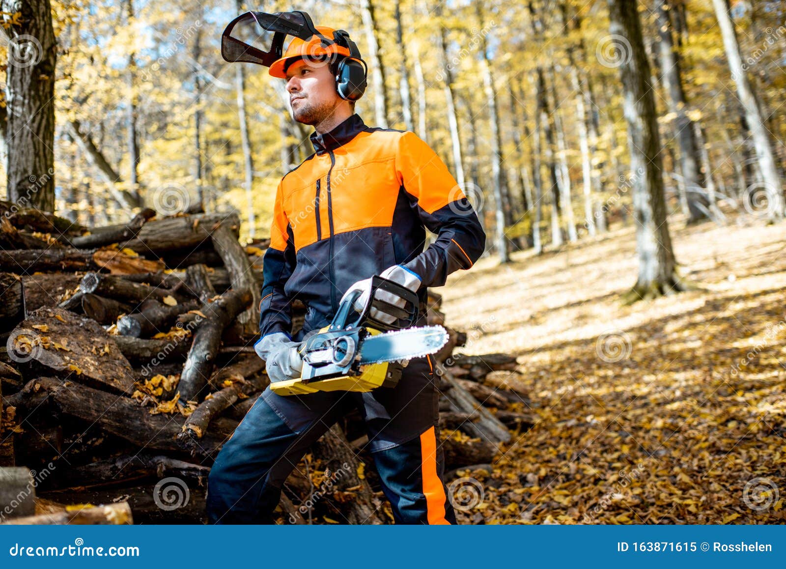 Professional Lumberjack in the Forest Stock Image - Image of helmet ...