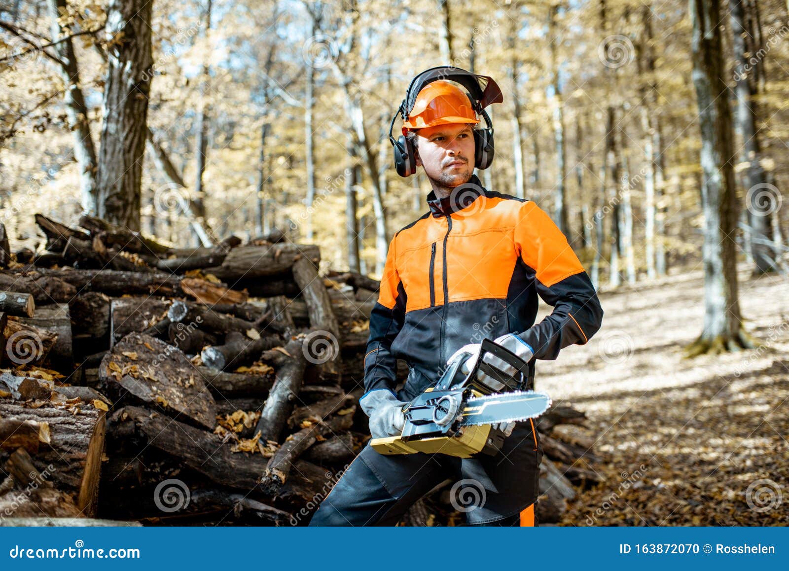 Professional Lumberjack in the Forest Stock Photo - Image of nature ...