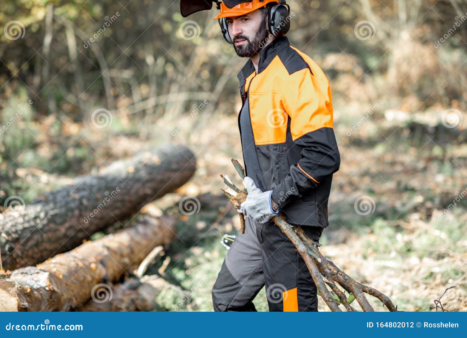 Professional Lumberjack Logging in the Forest Stock Photo - Image of ...