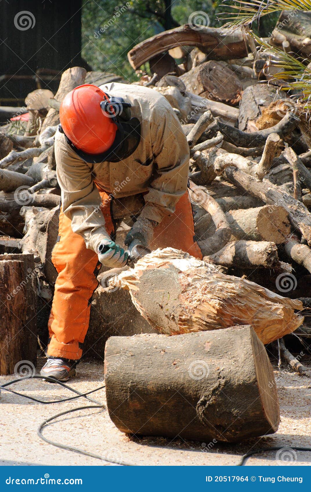 Professional Lumberjack at Work Stock Photo - Image of outdoors, pine ...