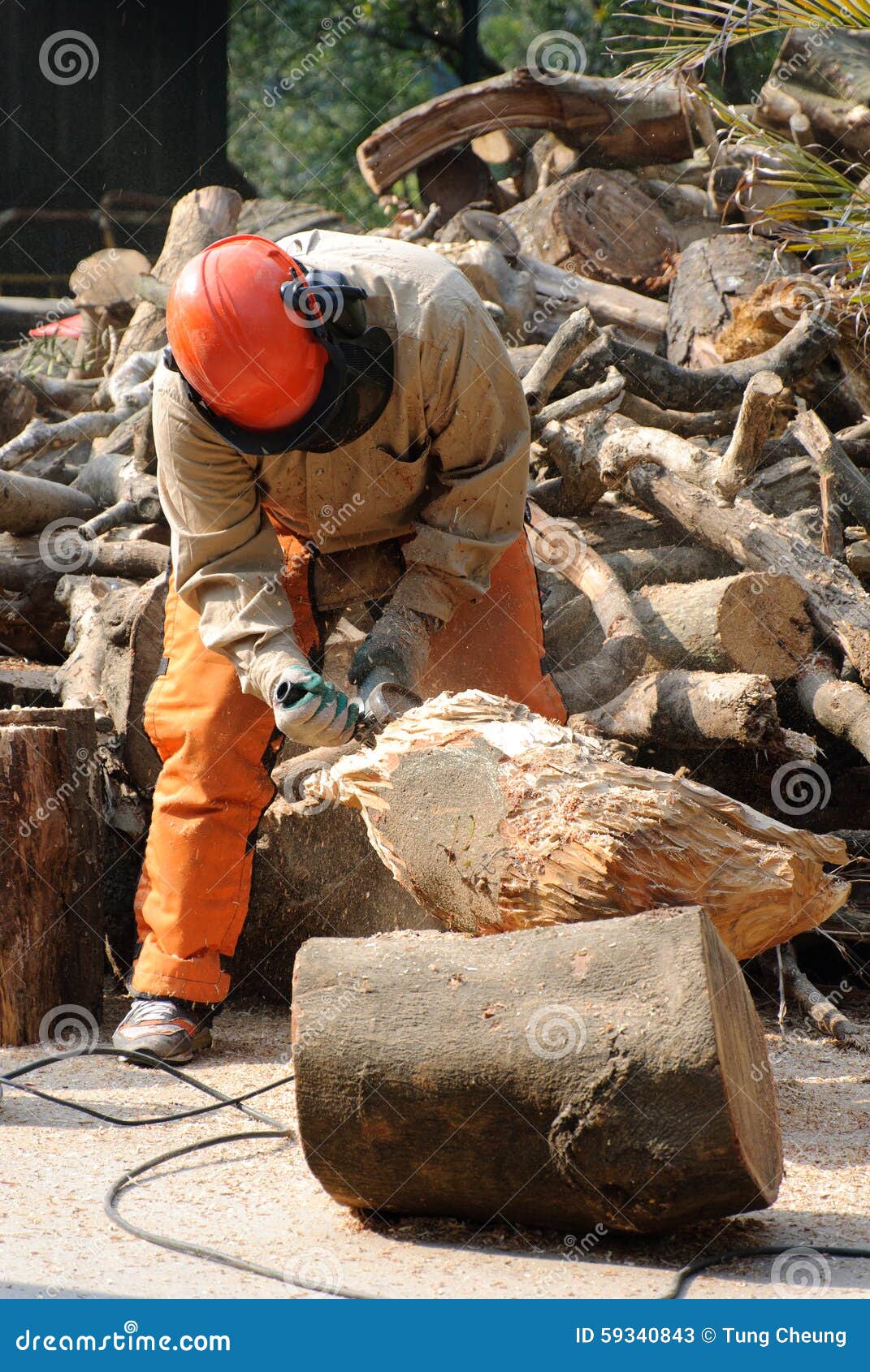 Professional Lumberjack at Work in the Forest Stock Image - Image of ...