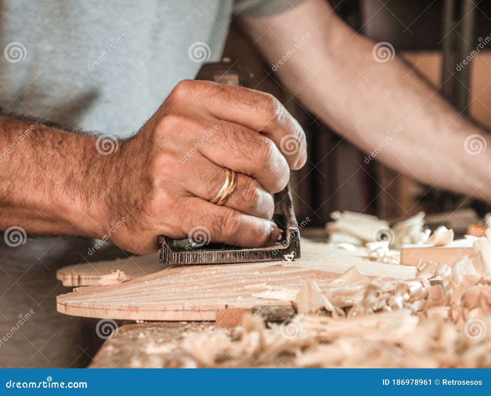 Professional Luthier Violinmaker Artisan Working on Making a Handmade ...