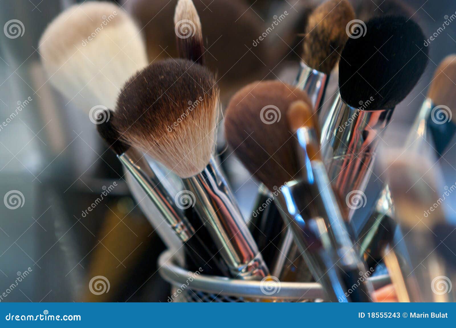 Professional Makeup Brushes Stock Image - Image of macro, facial: 18555243