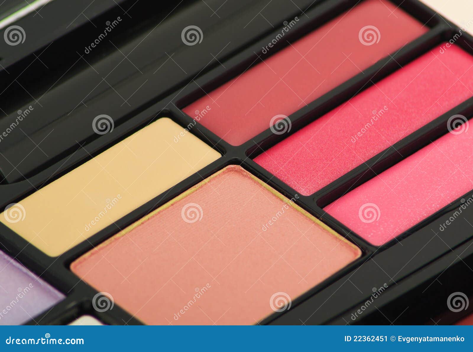 Professional Makeup Palette Picture. Image: 22362451