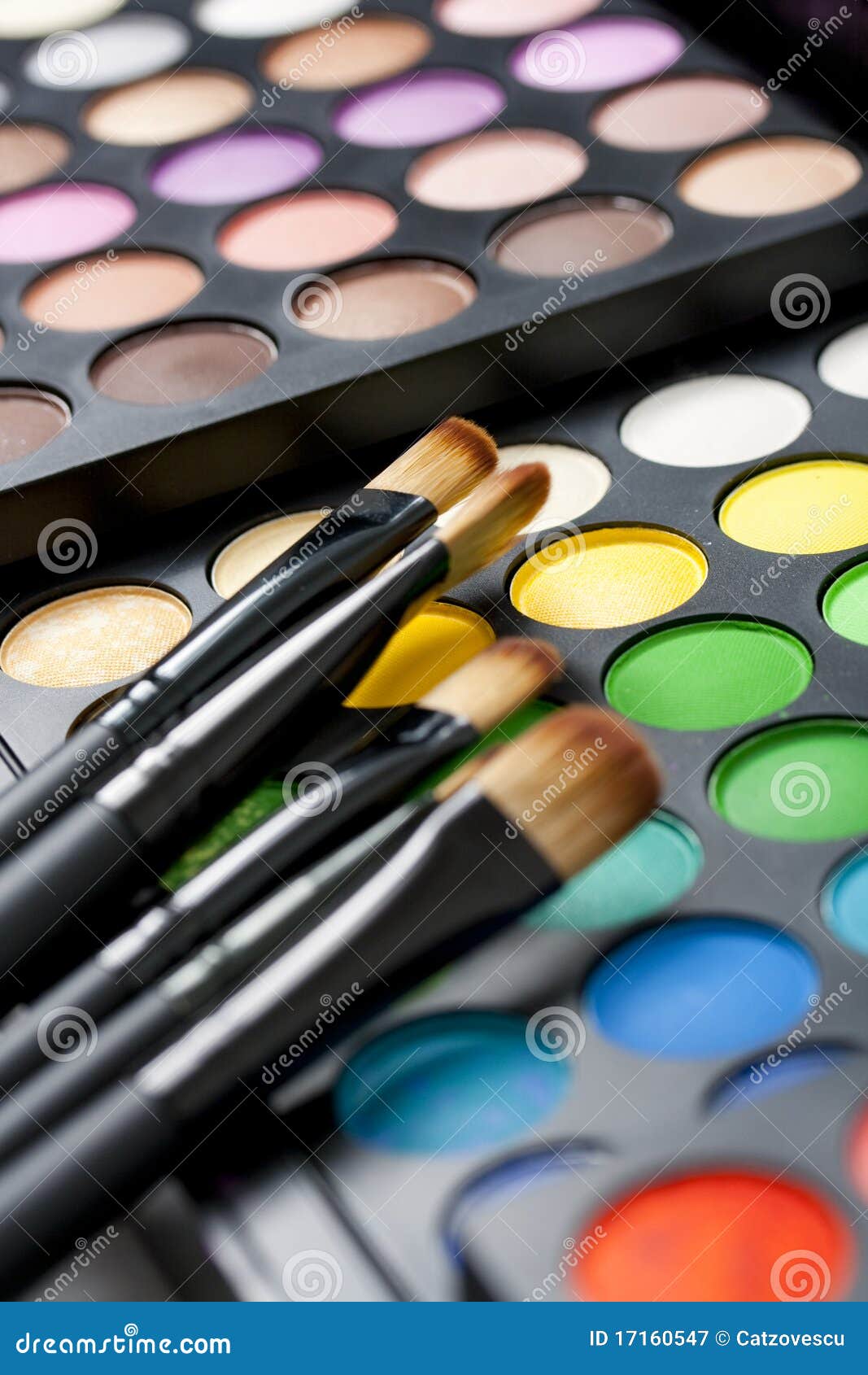 Professional Makeup Palette and Brushes Stock Image - Image of ...