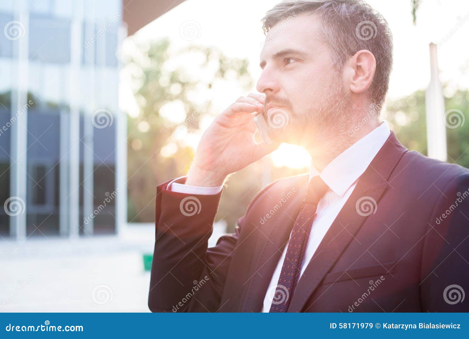 Professional Manager during Work Stock Image - Image of professional ...