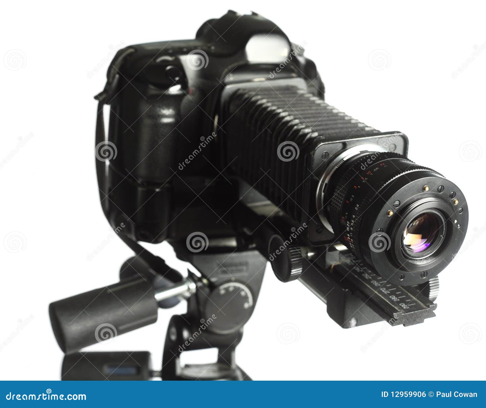 Professional Micro-photography Rig Stock Photo - Image of magnification ...