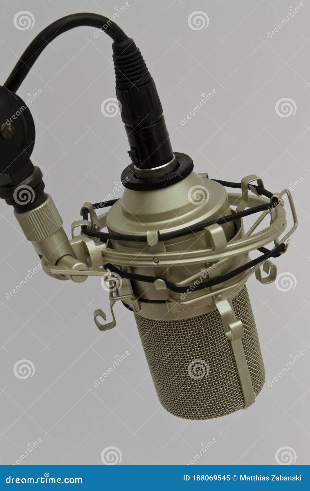 Professional Microphone with Black Cable Mounted in a Microphone Spider ...