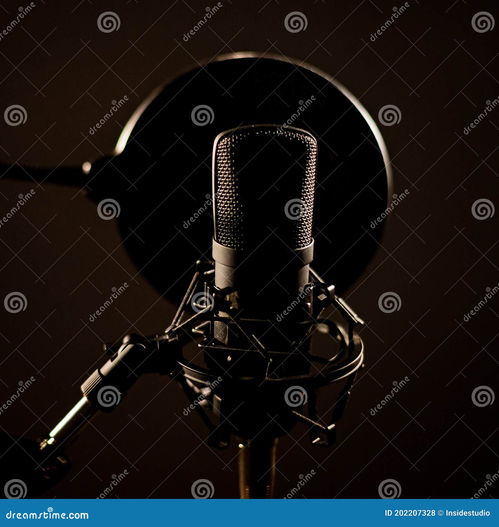 Professional Microphone on a Dark Background Stock Photo - Image of ...