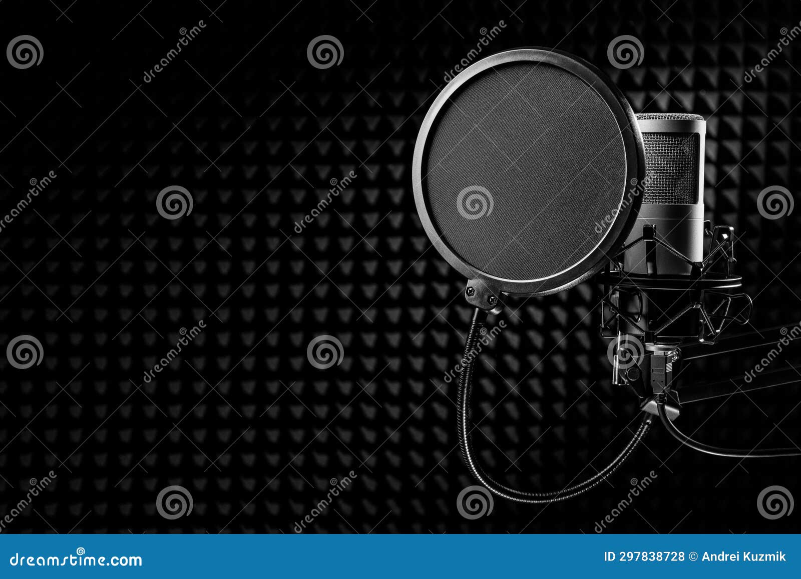 Professional Microphone Pop Shield on the Stand. Recording Studio with ...