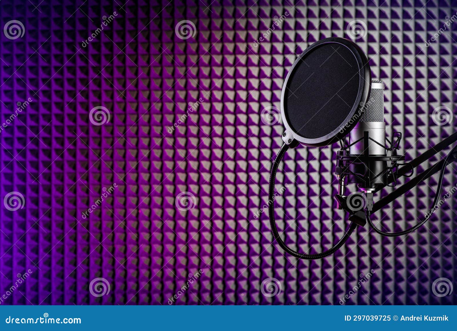 Professional Microphone on the Stand. Recording Studio with Acoustical ...