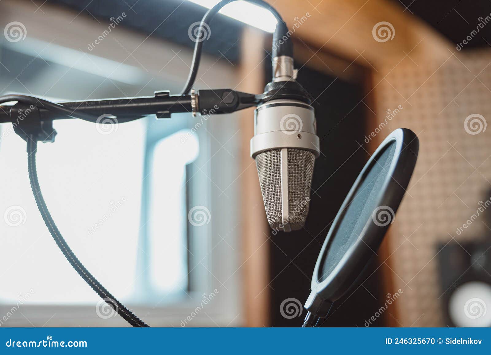 Professional Microphone with Waveform in the Sound Recording Studio ...