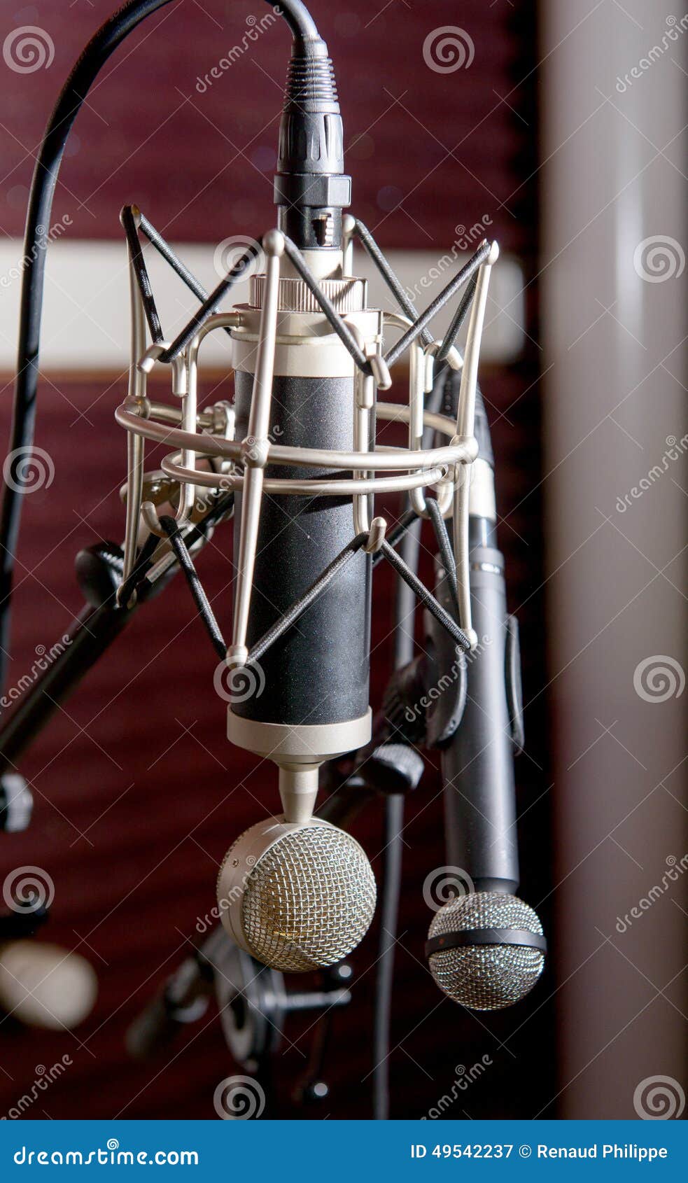 Professional microphones stock image. Image of professional - 49542237