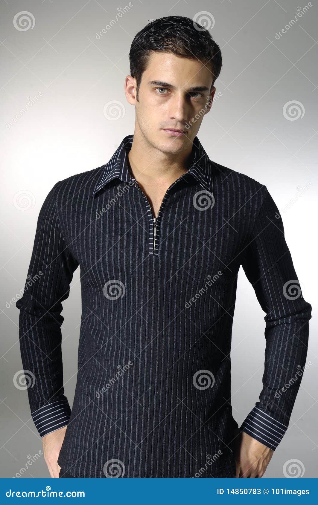 Professional model stock image. Image of gentleman, adult - 14850783