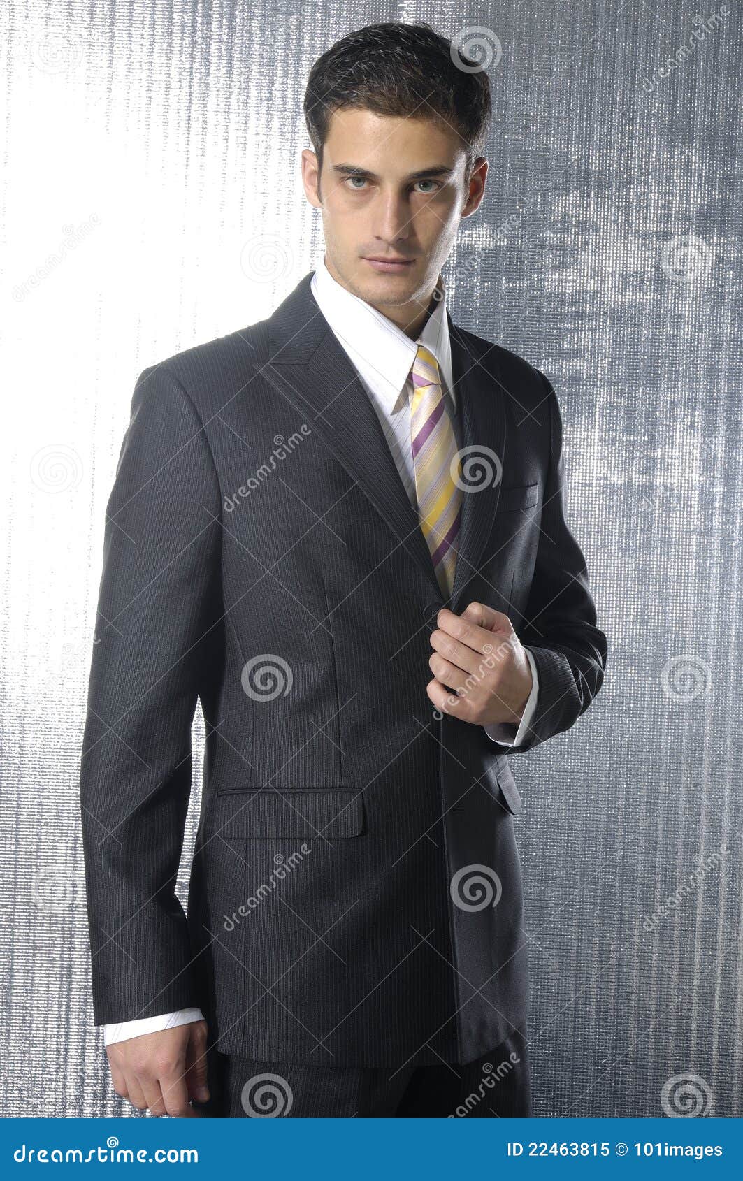 Professional model stock image. Image of male, gentleman - 22463815