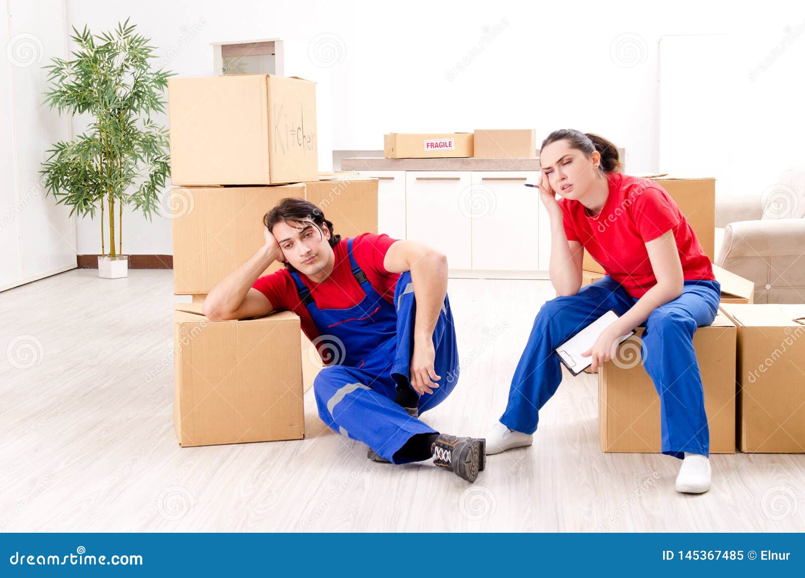 The Professional Movers Doing Home Relocation Stock Image - Image of ...