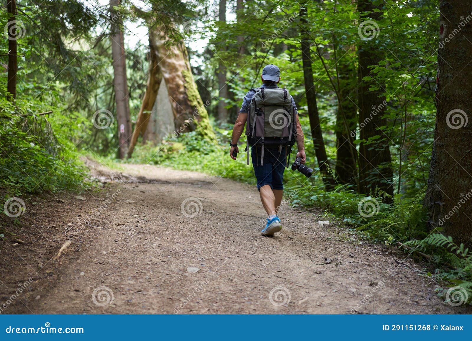 Professional Nature Photographer Hiking Stock Photo - Image of ...