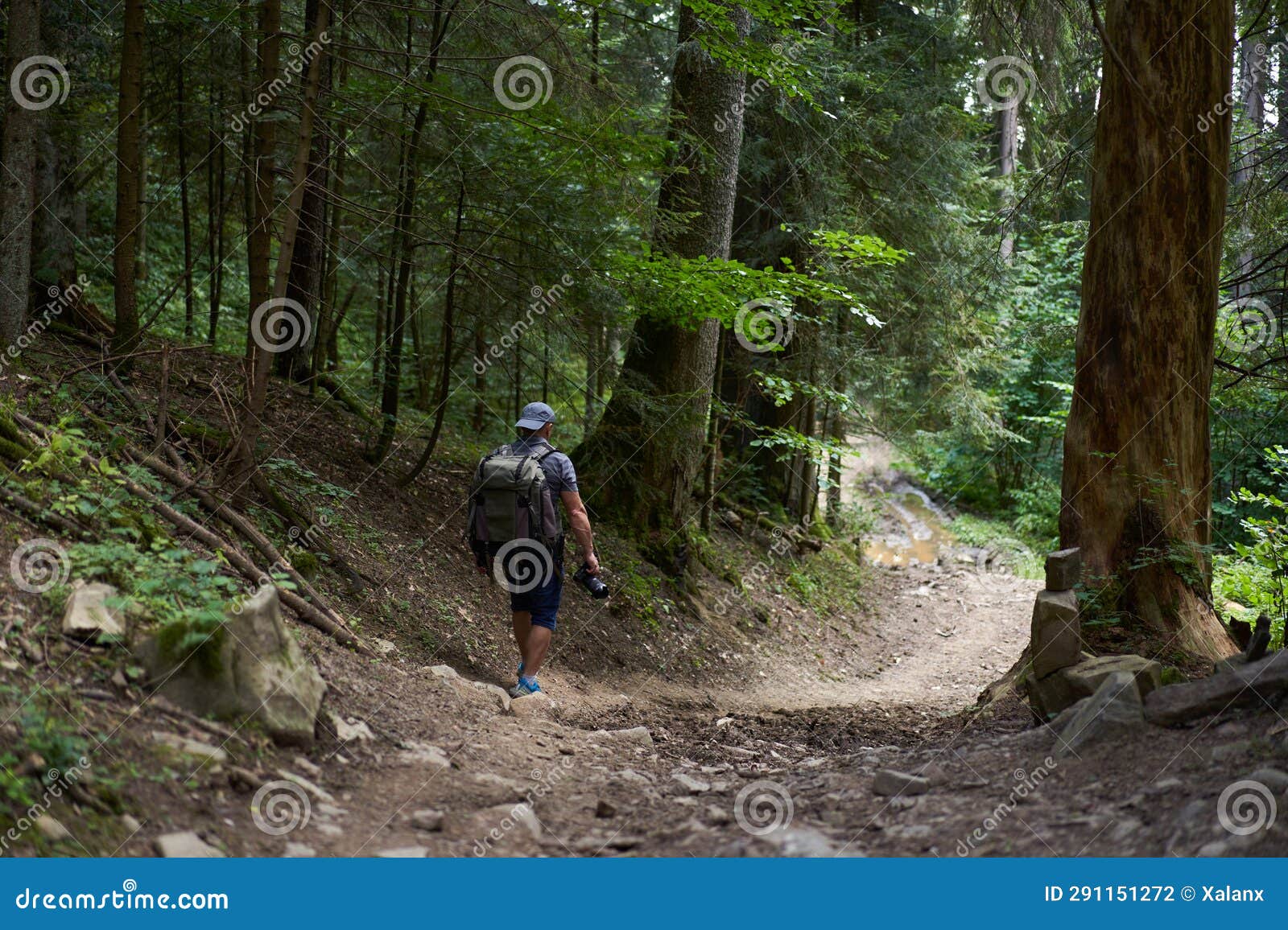 Professional Nature Photographer Hiking Stock Photo - Image of ...