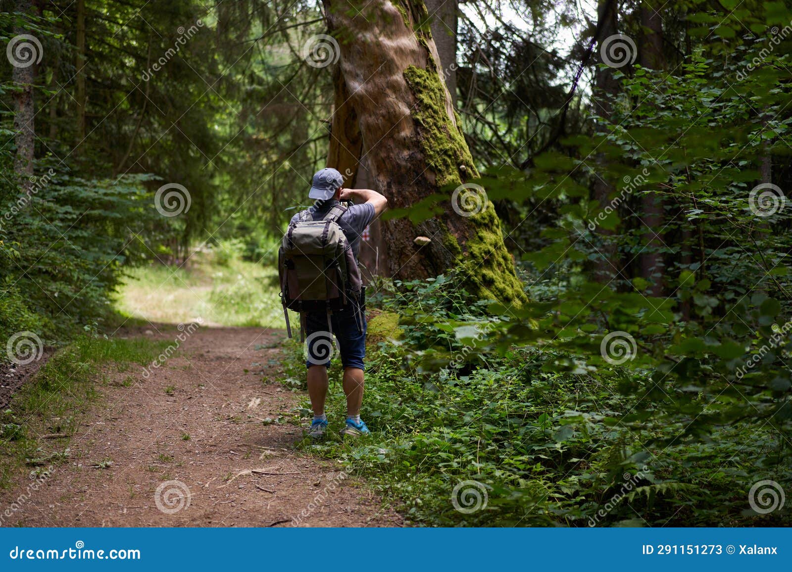 Professional Nature Photographer Hiking Stock Image - Image of male ...