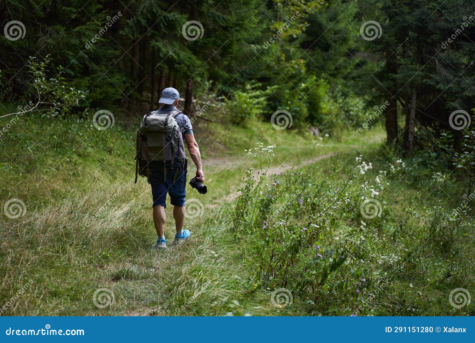 Professional Nature Photographer Hiking Stock Photo - Image of people ...