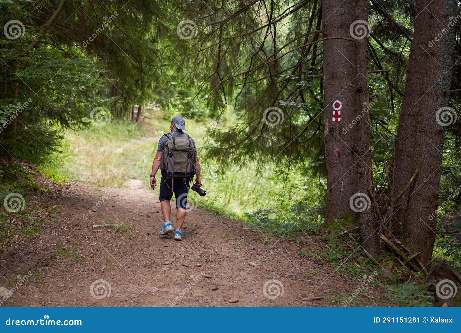 Professional Nature Photographer Hiking Stock Image - Image of ...