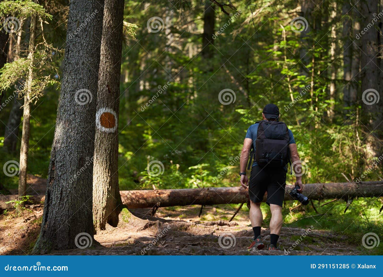 Professional Nature Photographer Hiking Stock Image - Image of ...